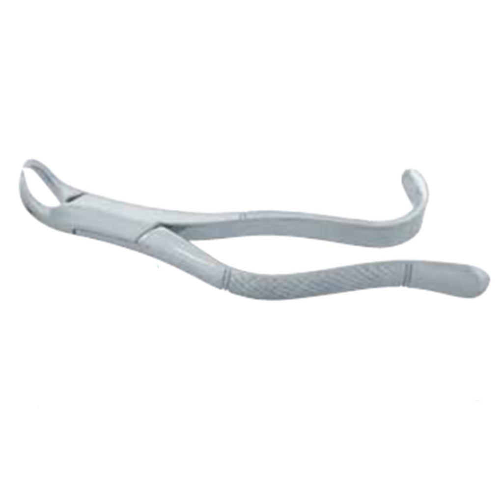 Maxillary Molar Forceps Stainless Steel | Dental Surgical Instruments ...