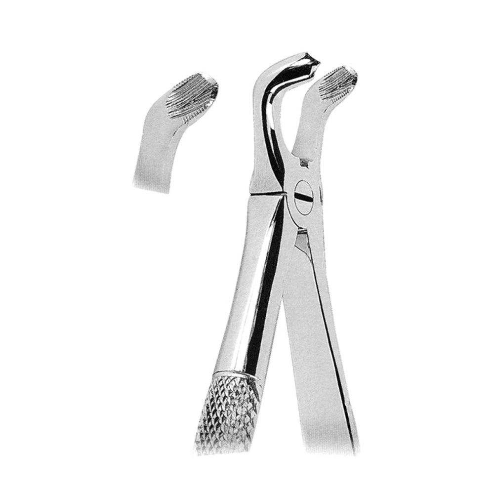 Extracting Forceps Lower Third Molars | Dental Surgical Instruments ...