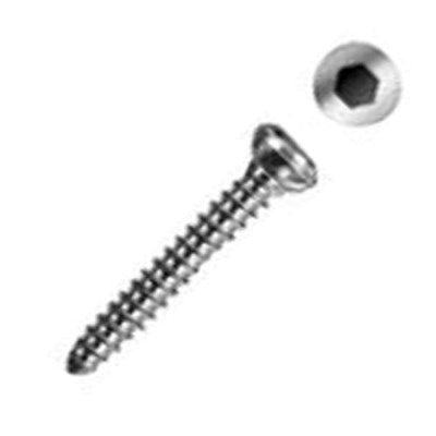 Cortex Bone Screw 2.0mm Self-Tapping | Veterinary Surgical Instrument ...